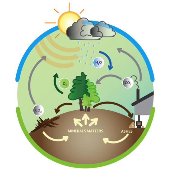 Wood and Pellet Stoves Available at Harrington & Company